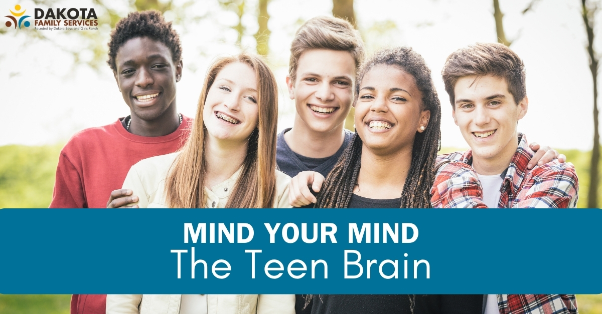 The Teen Brain